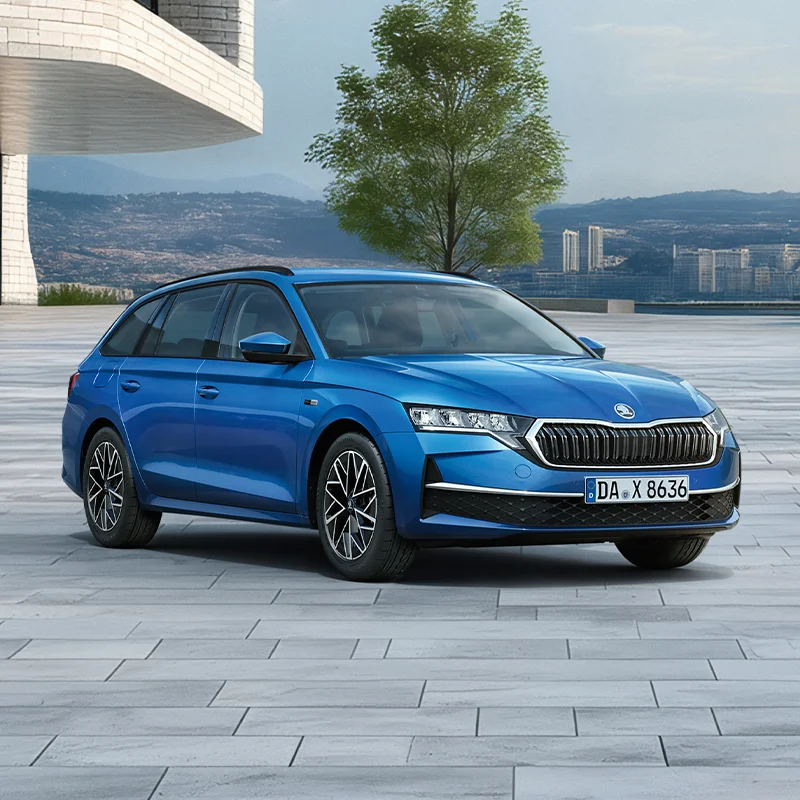 Skoda Buffet 2026 | mein-autozentrum.de